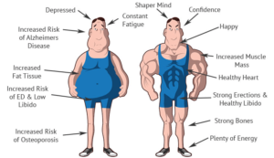 Dianabol (Dbol): The Ultimate Guide - Inside Bodybuilding