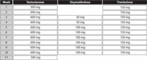 Top 14 Steroid Cycles: Novice, Intermediate, and Advanced Users ...