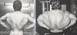 Winstrol Cycle: The Ultimate Guide - Inside Bodybuilding